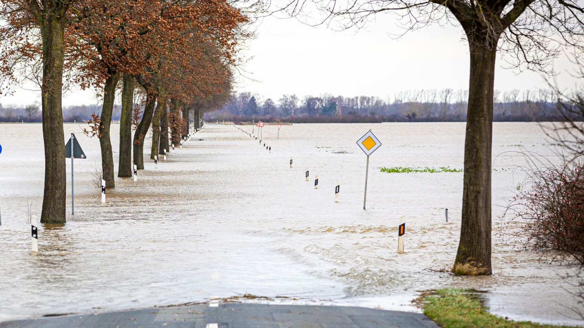 Italy, Slovenia, Greece: Which European countries are most impacted by ...