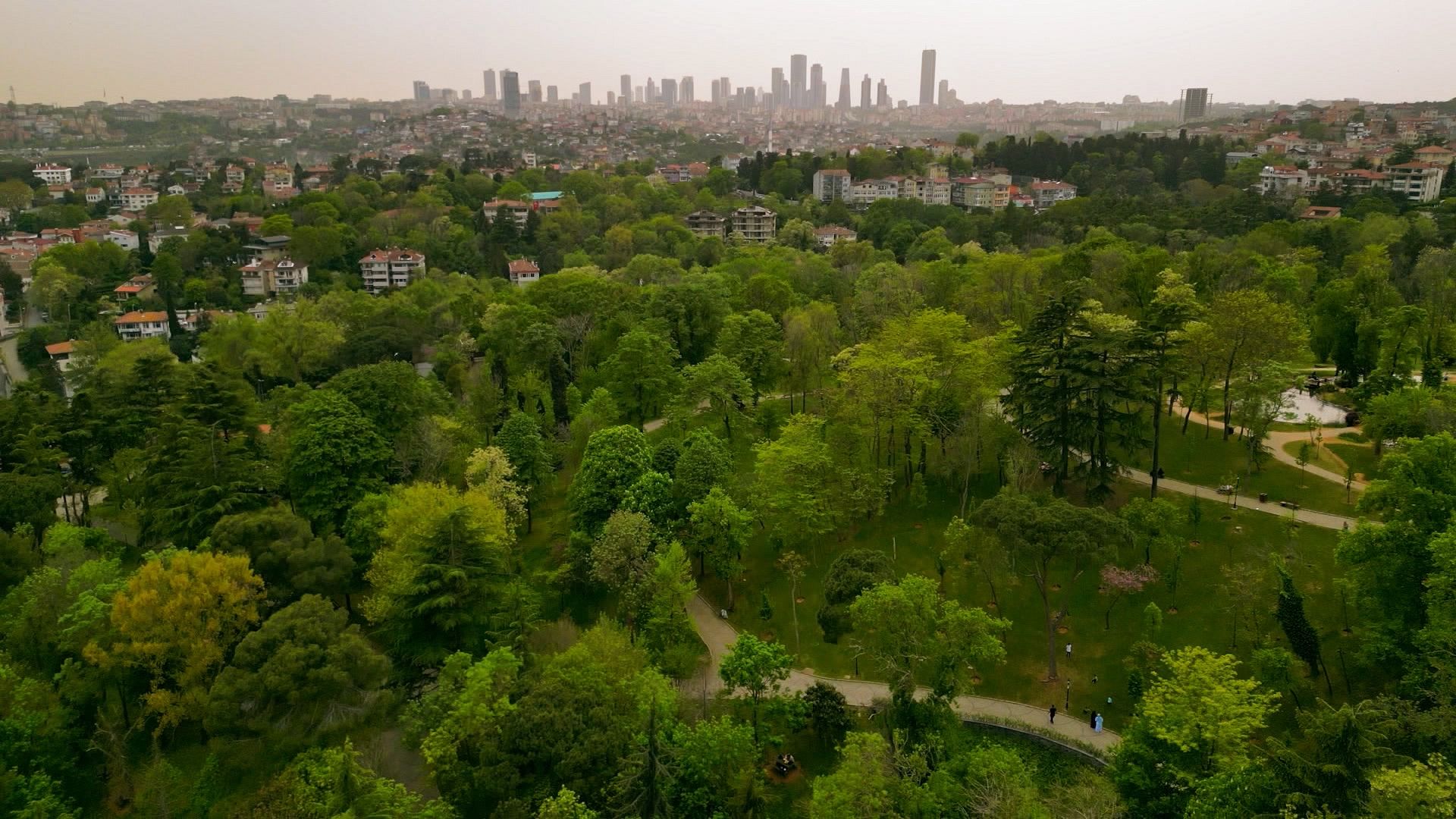 Video. Looking for greenery? Try İstanbul’s gardens, forests and ...