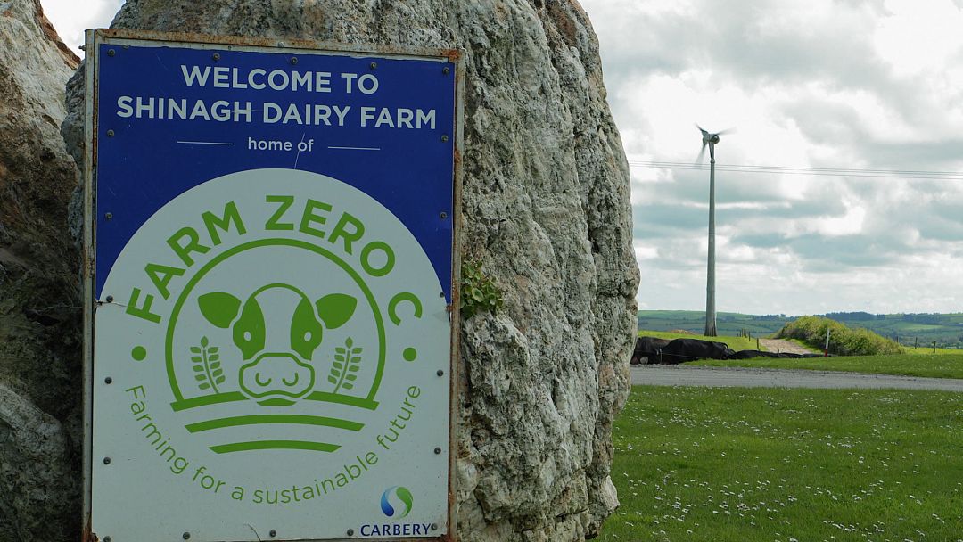 El proyecto Farm Zero C busca crear una granja lechera que sea ...