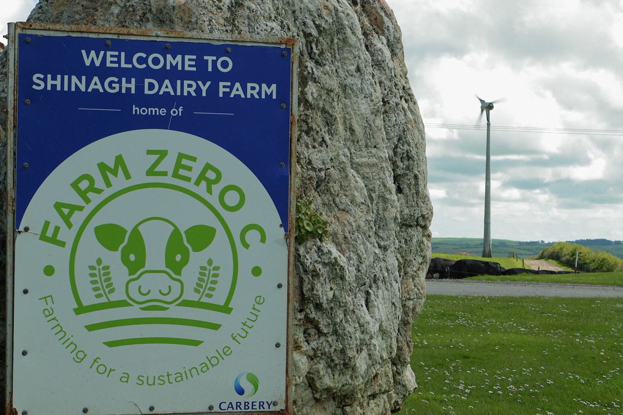 Climate Now - Latest episodes, latest news and updates about | Euronews