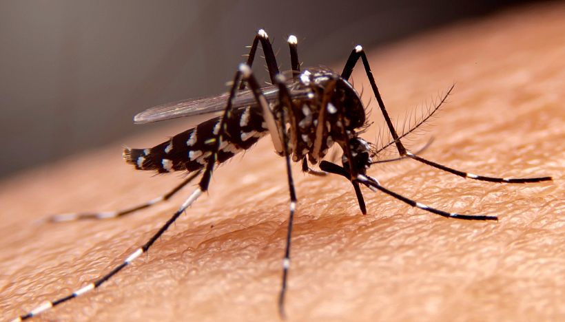 Kenya is gripped by deadly malaria. Could a new locally produced drug ...
