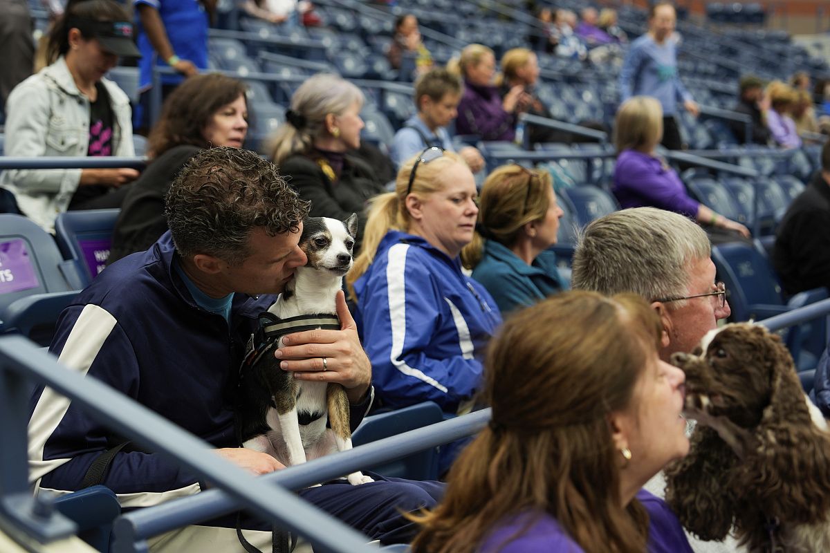 Diversity wins: Mixed breed dog takes top prize at America’s longest ...