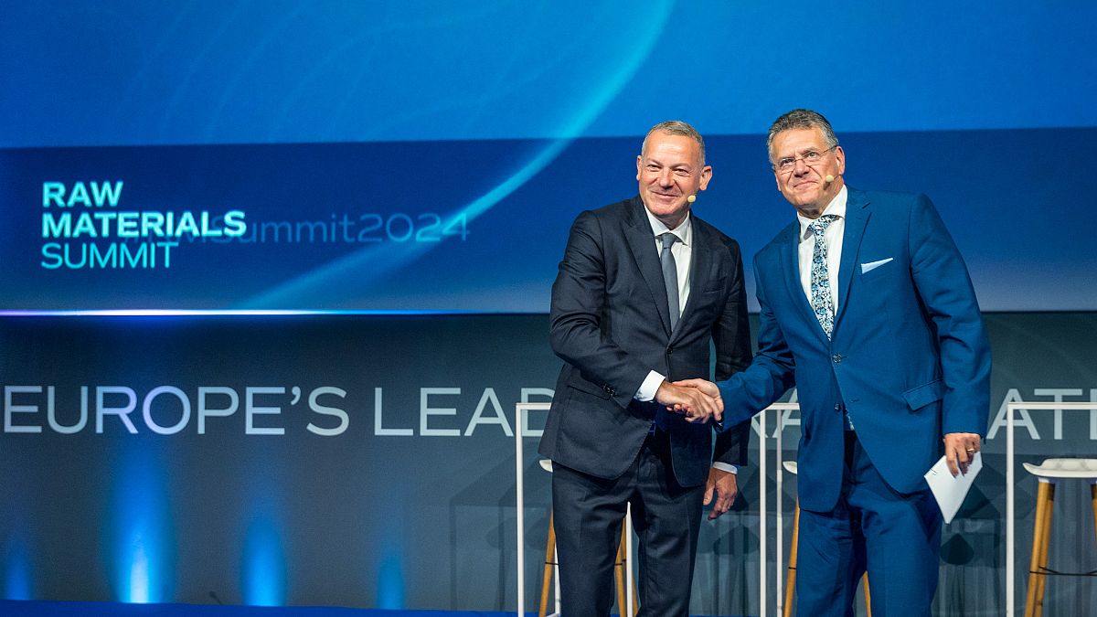 Commissioner touts launch of critical raw material joint purchasing ...