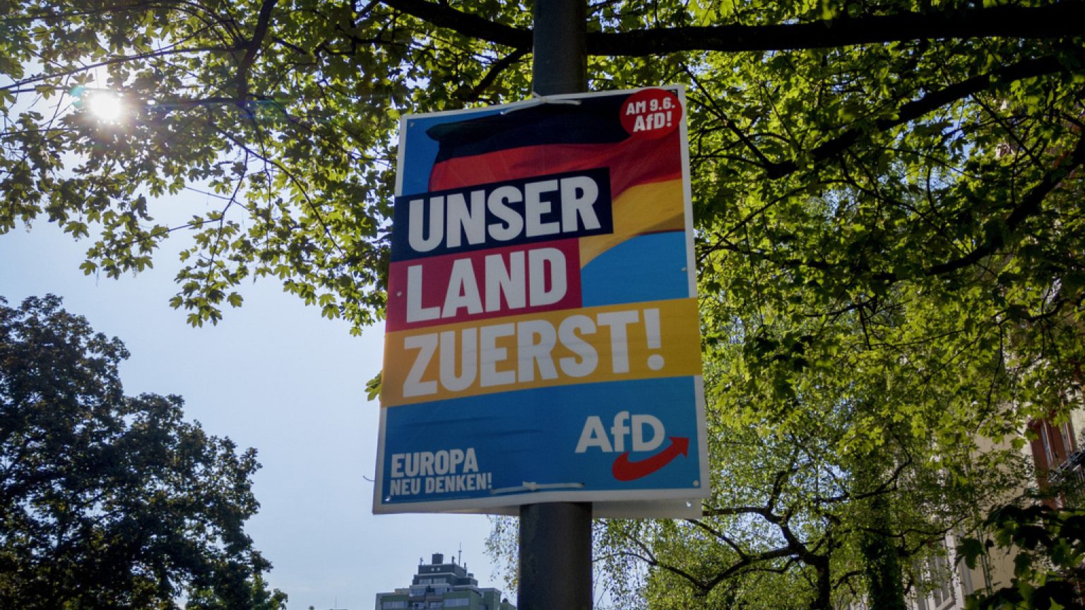Concentration camp museum director joins campaign to ban Germany's AfD ...
