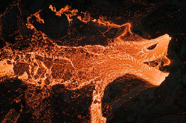 Snug polar bears and lava dragons: Take a look at the jaw-dropping ...