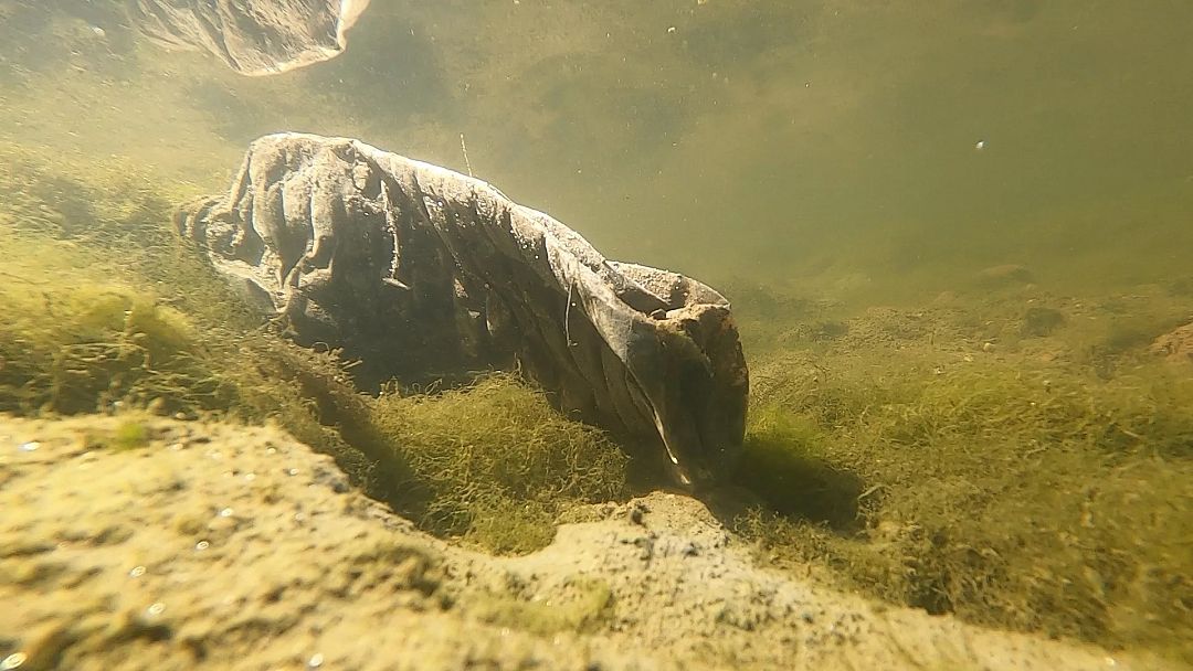 Water pollution: How the EU is working to restore our rivers, lakes and ...
