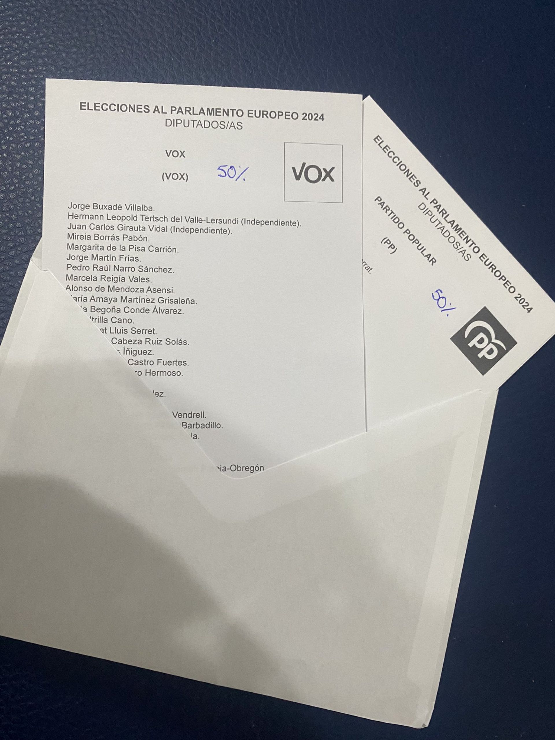 Who wants to stop people going to the polls for European elections, and ...