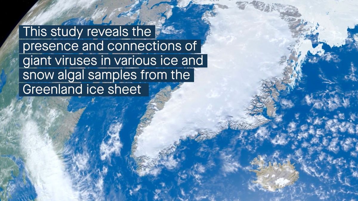 Arctic sea ice is declining at an alarming rate. A giant virus could ...