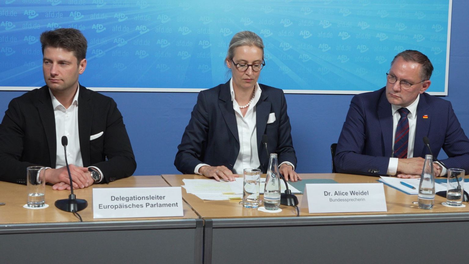 Germany's far-right AfD appoints new European Parliament delegation ...