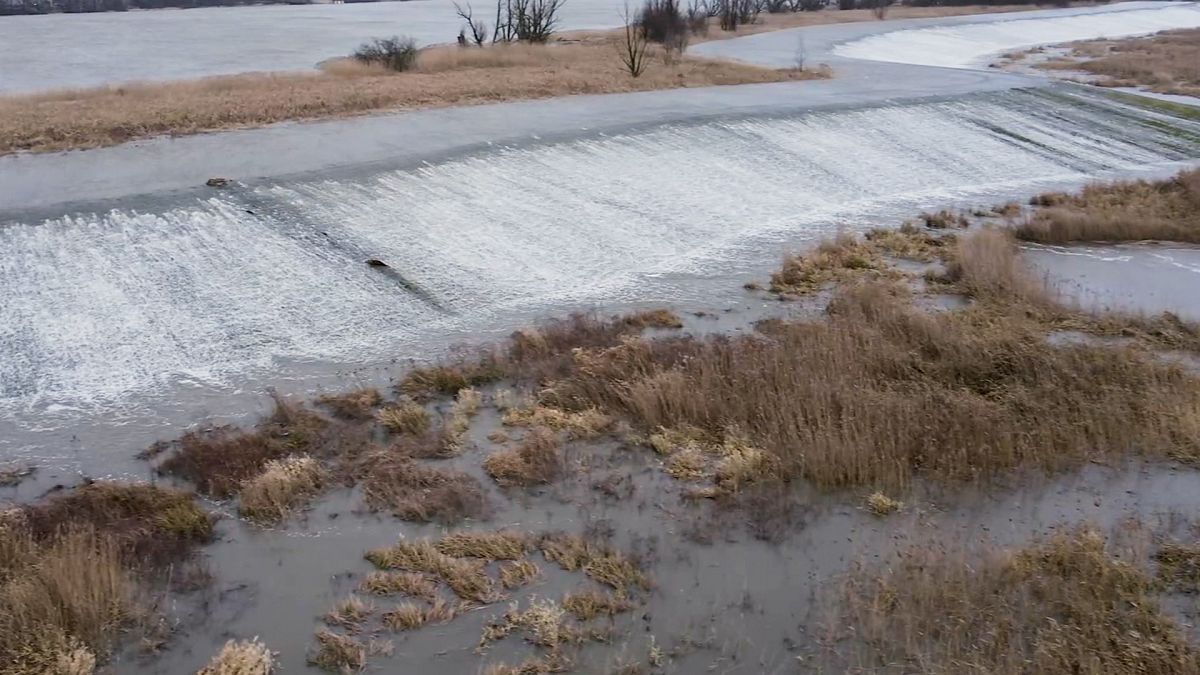 How Flanders is harnessing nature to prevent deadly floods | Euronews