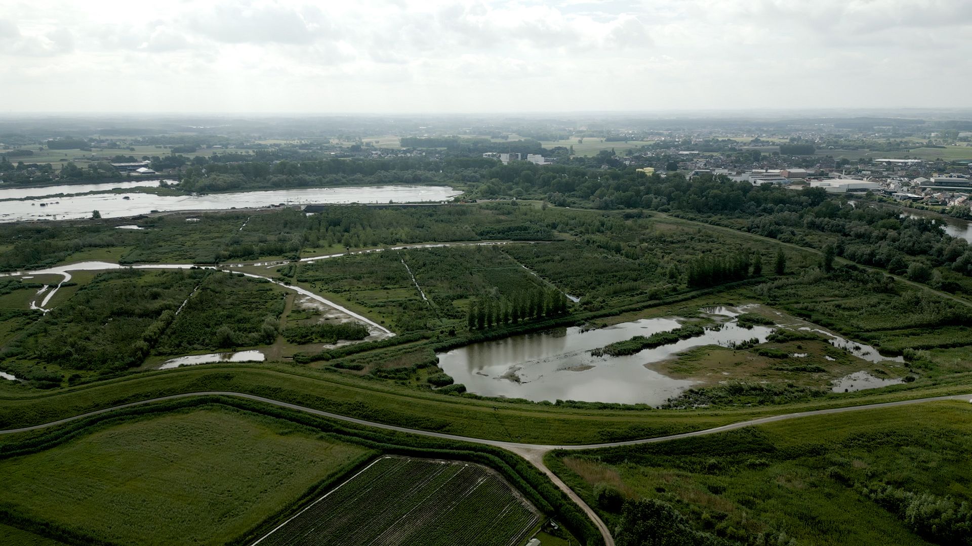 How Flanders is harnessing nature to prevent deadly floods | Euronews