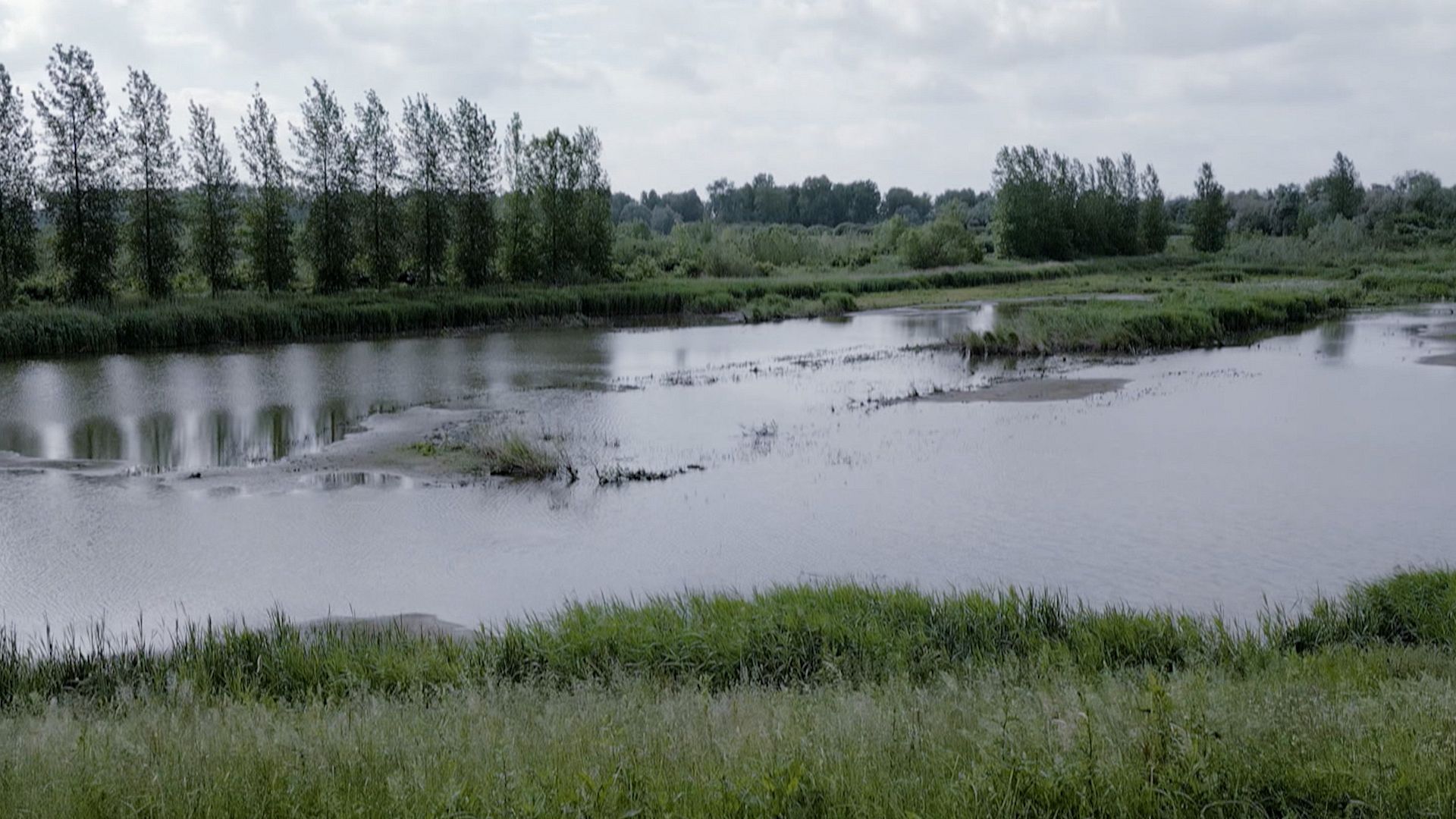 How Flanders is harnessing nature to prevent deadly floods | Euronews