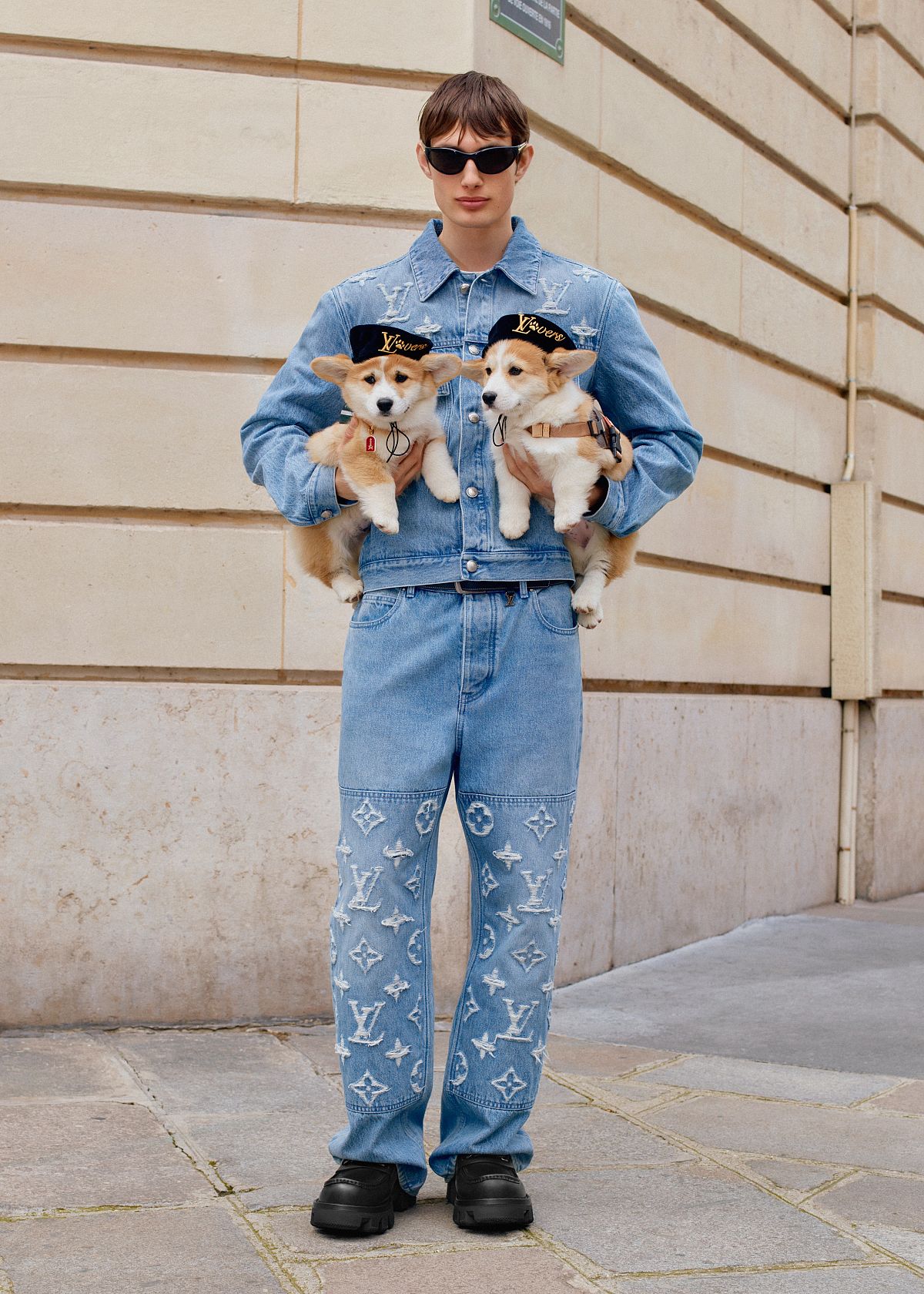 Gone to the dogs? Louis Vuitton goes barking mad with new canine ...