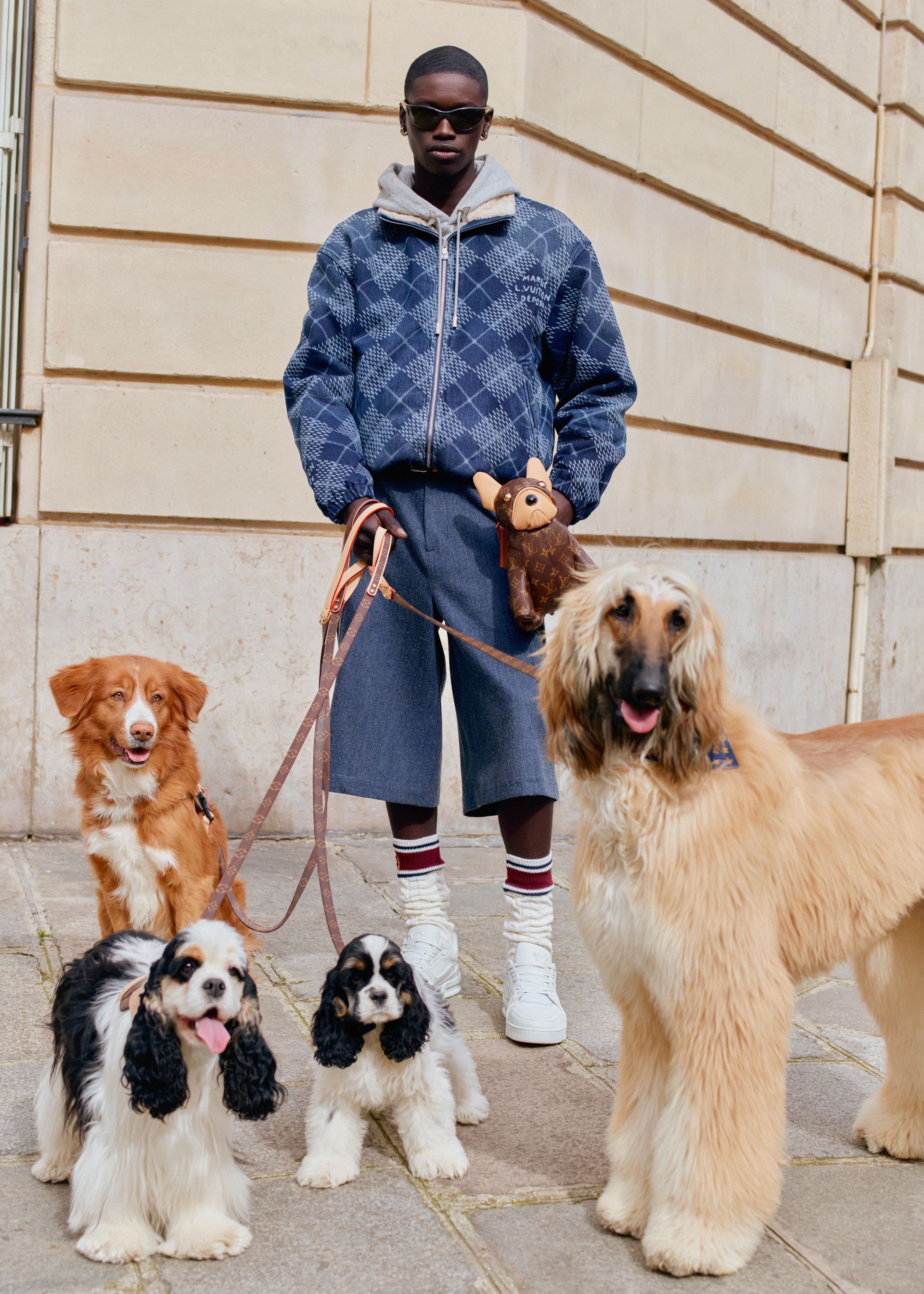 Gone to the dogs? Louis Vuitton goes barking mad with new canine ...