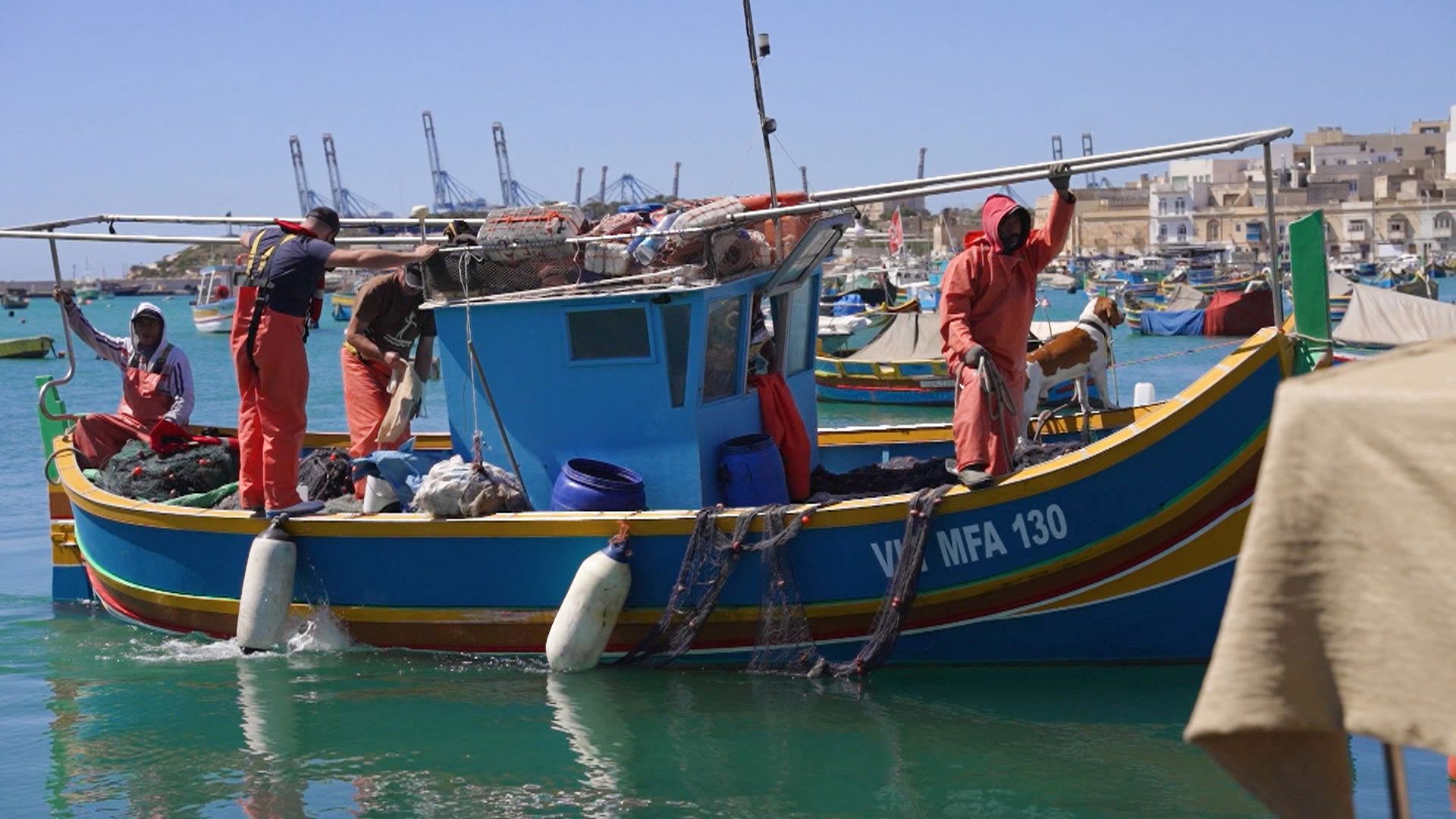 Scientific observers work with fishers shaping future of Malta's marine ...