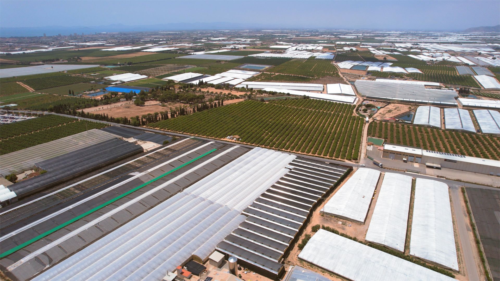 Protecting Europe’s waterways: the polluted Spanish lagoon that’s ...