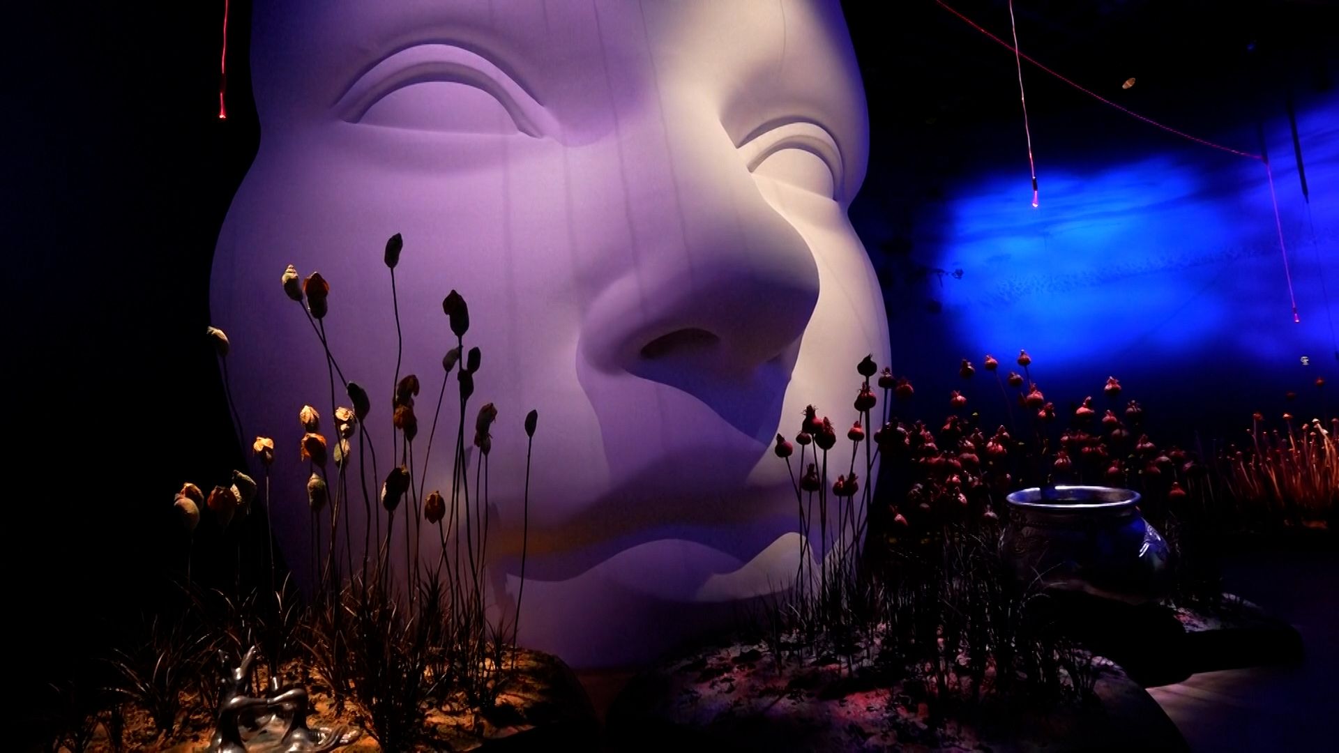 Denmark’s National Museum explores the life of the formidable Viking ...