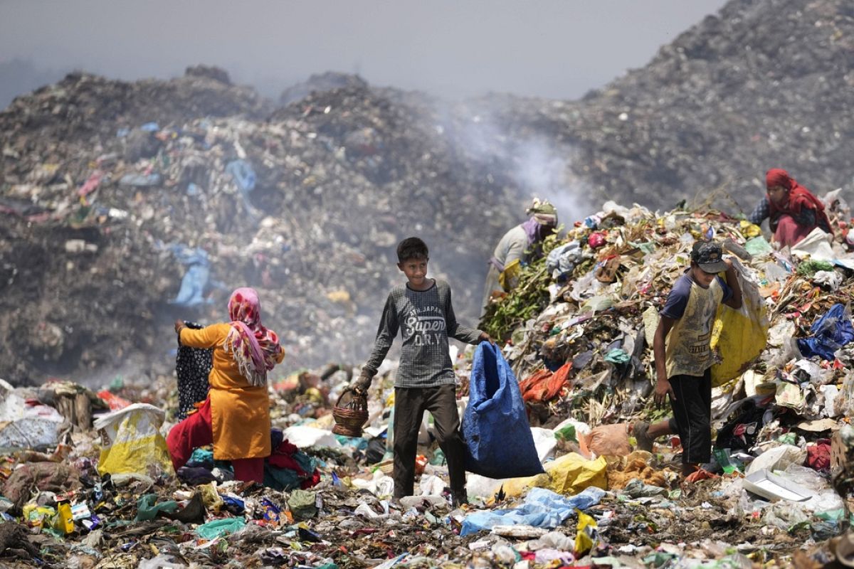 ‘They don’t know if they’ll survive’: The Indian garbage pickers ...