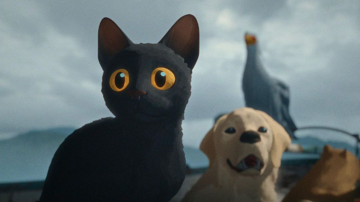 Ready furr their close-up: How cats became Hollywood's hottest stars ...