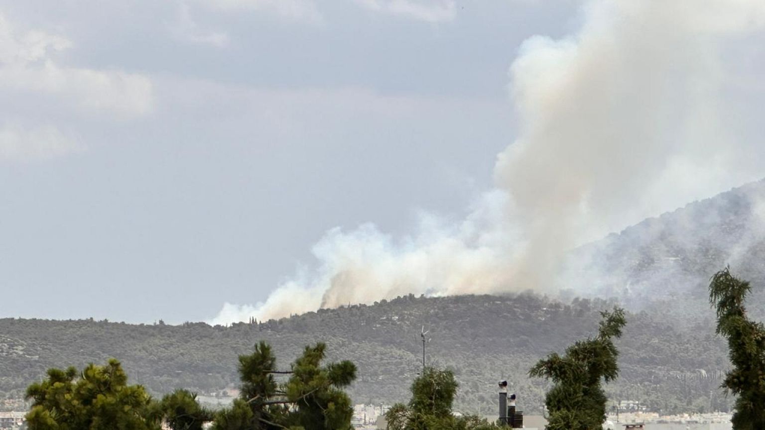 Ελλάδα: Συνελήφθη 35χρονος για την πυρκαγιά σε δασική έκταση στα Γλυκά ...