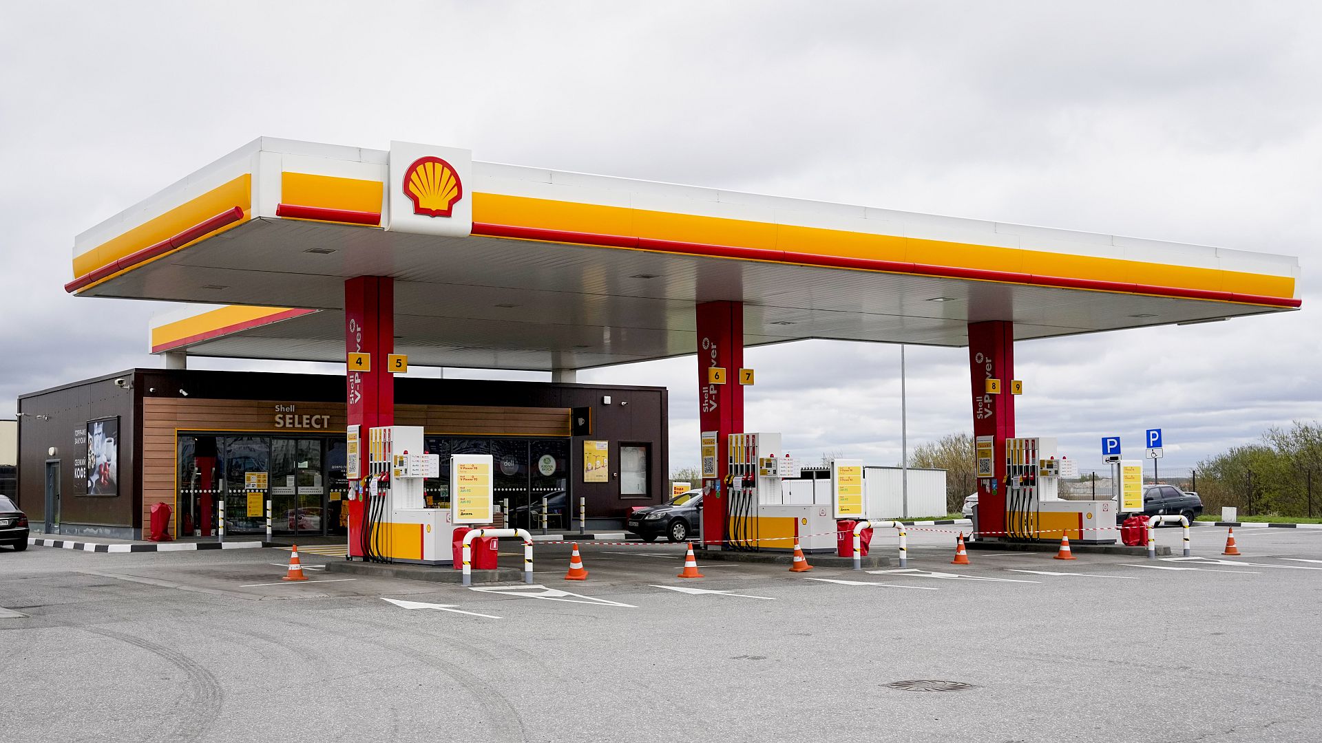 Shell takes billion dollar hit as it pauses building of biofuels plant ...