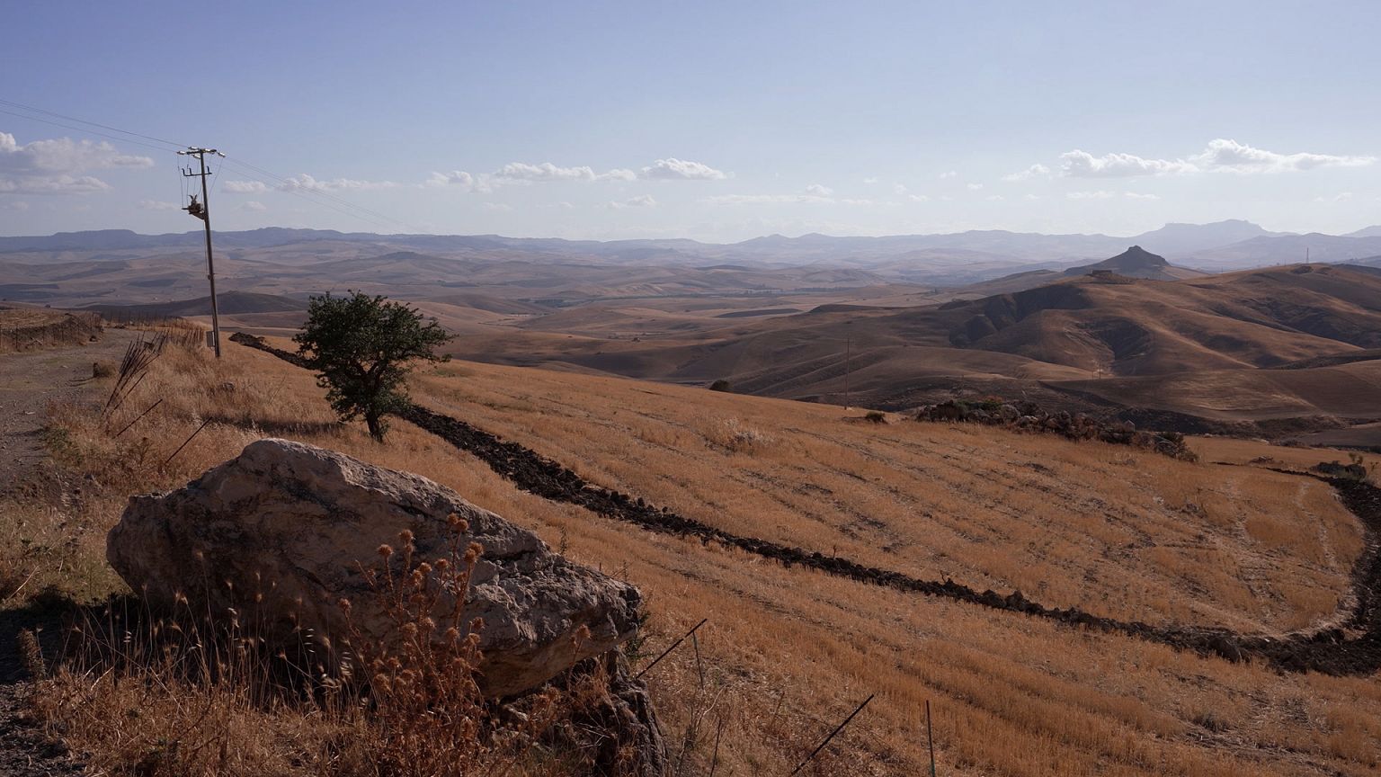 Droughts, desertification, heatwaves: the climate crisis hits Sicily ...