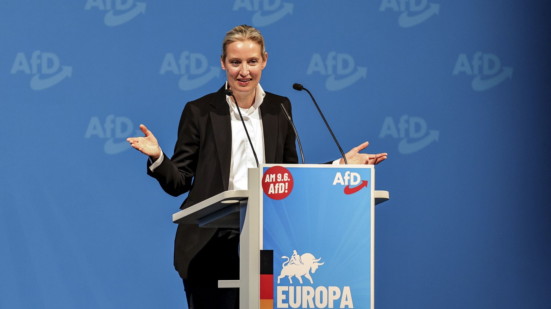 AfD y sus aliados forman en Bruselas un nuevo grupo de extrema derecha ...
