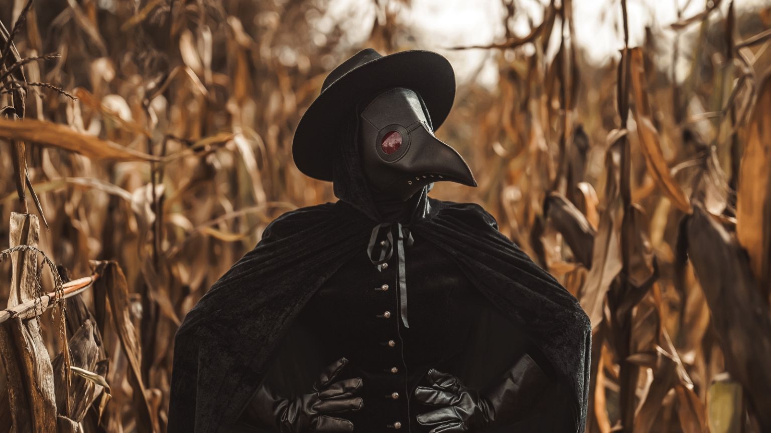 Why are we still seeing cases of plague and what symptoms should you ...