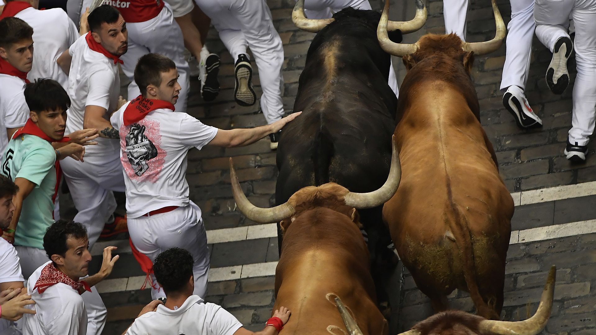 Vídeo. Centenas de pessoas correm à frente de touros bravos pelo bairro ...
