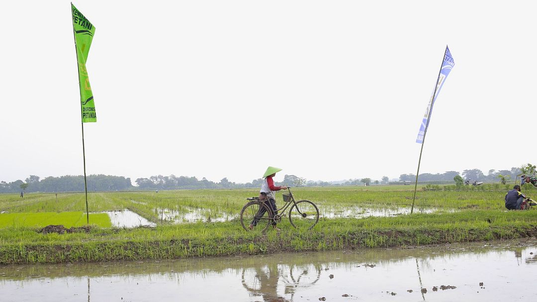 Rice is a silent source of methane emissions: Meet the startup helping ...