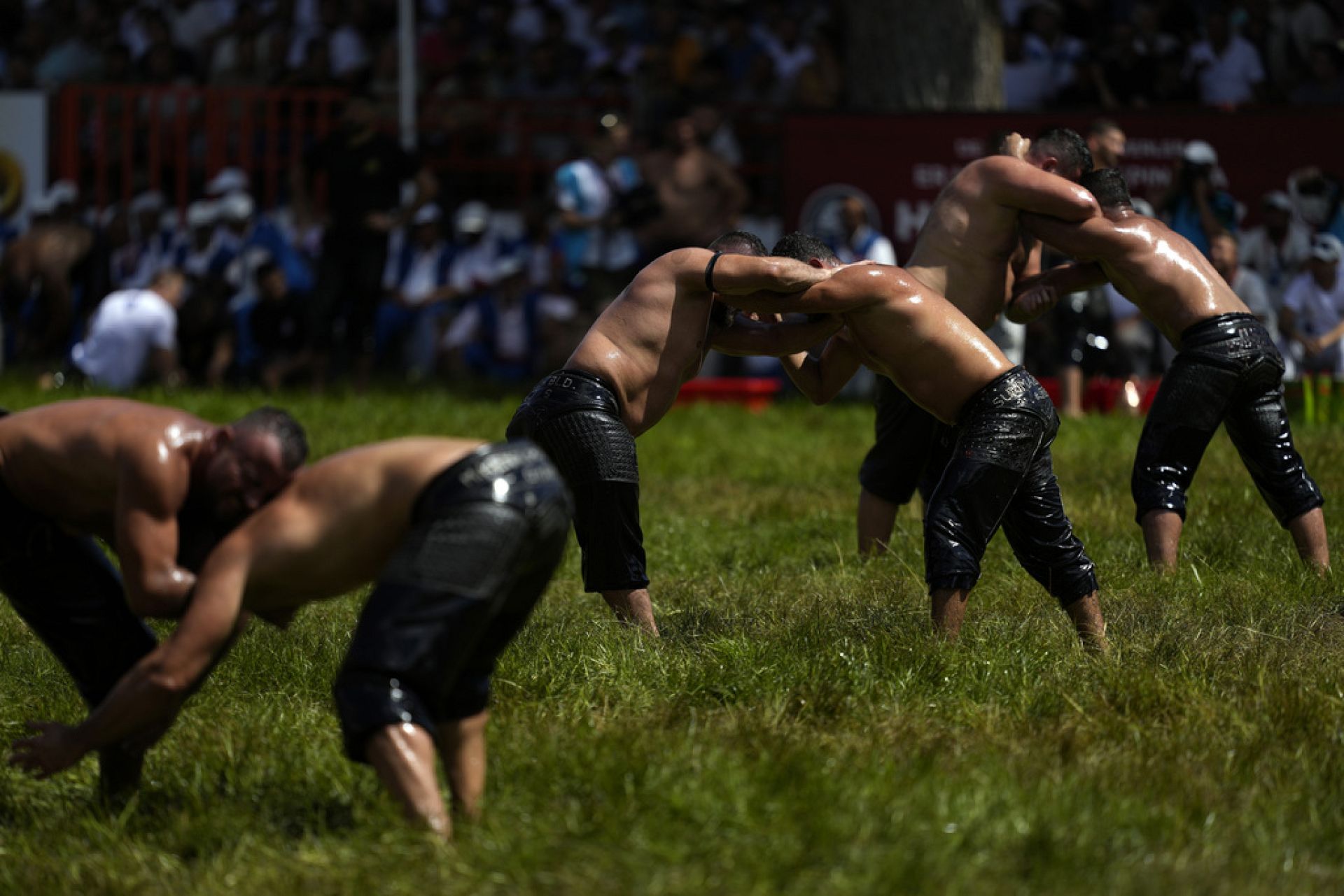 In pictures: Oiled up fighters clash in 663rd Turkish wrestling ...