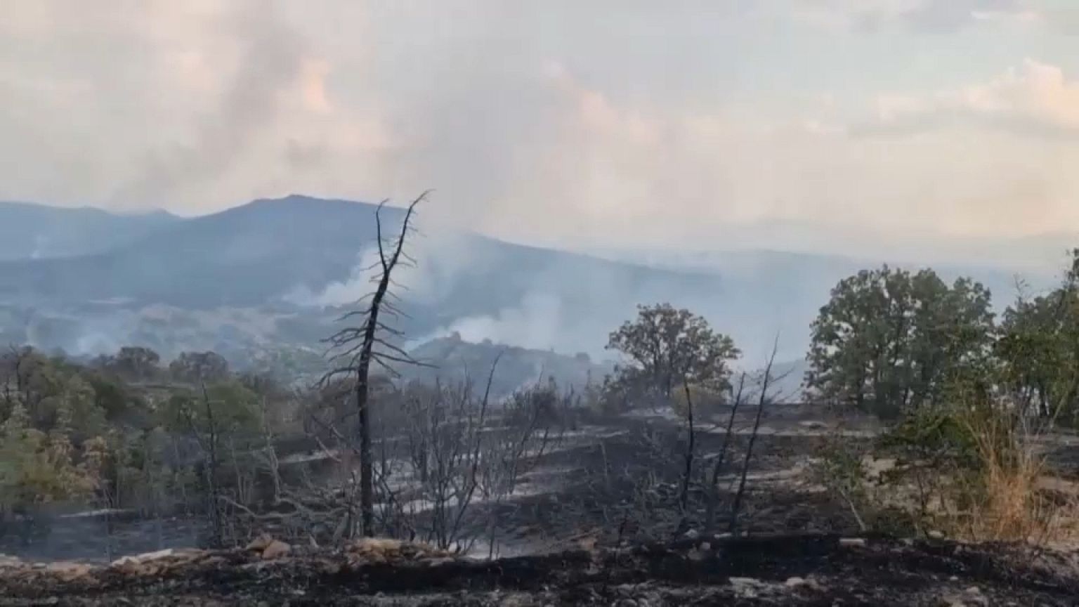 Firefighters continue to battle blazes in Portugal, North Macedonia and ...