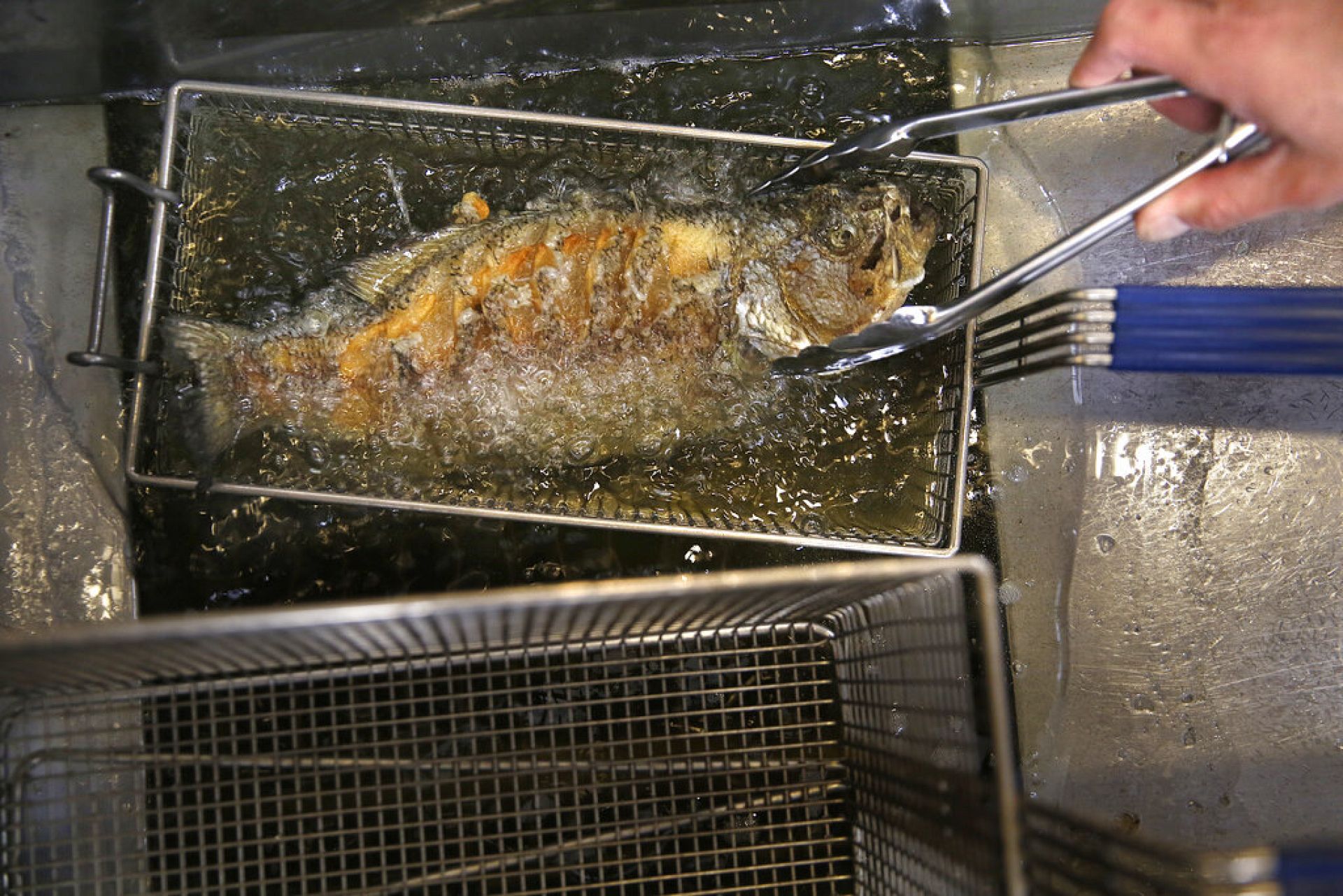 Seed oils are the new tobacco — and you need to know about it | Euronews