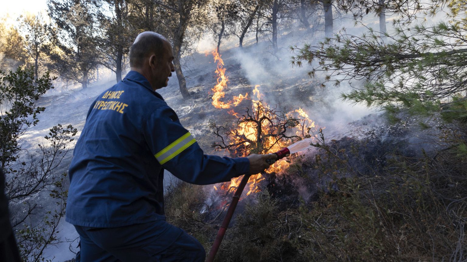 Χωρίς ενεργό μέτωπο οι πυρκαγιές σε Εύβοια και Ρέθυμνο | Euronews