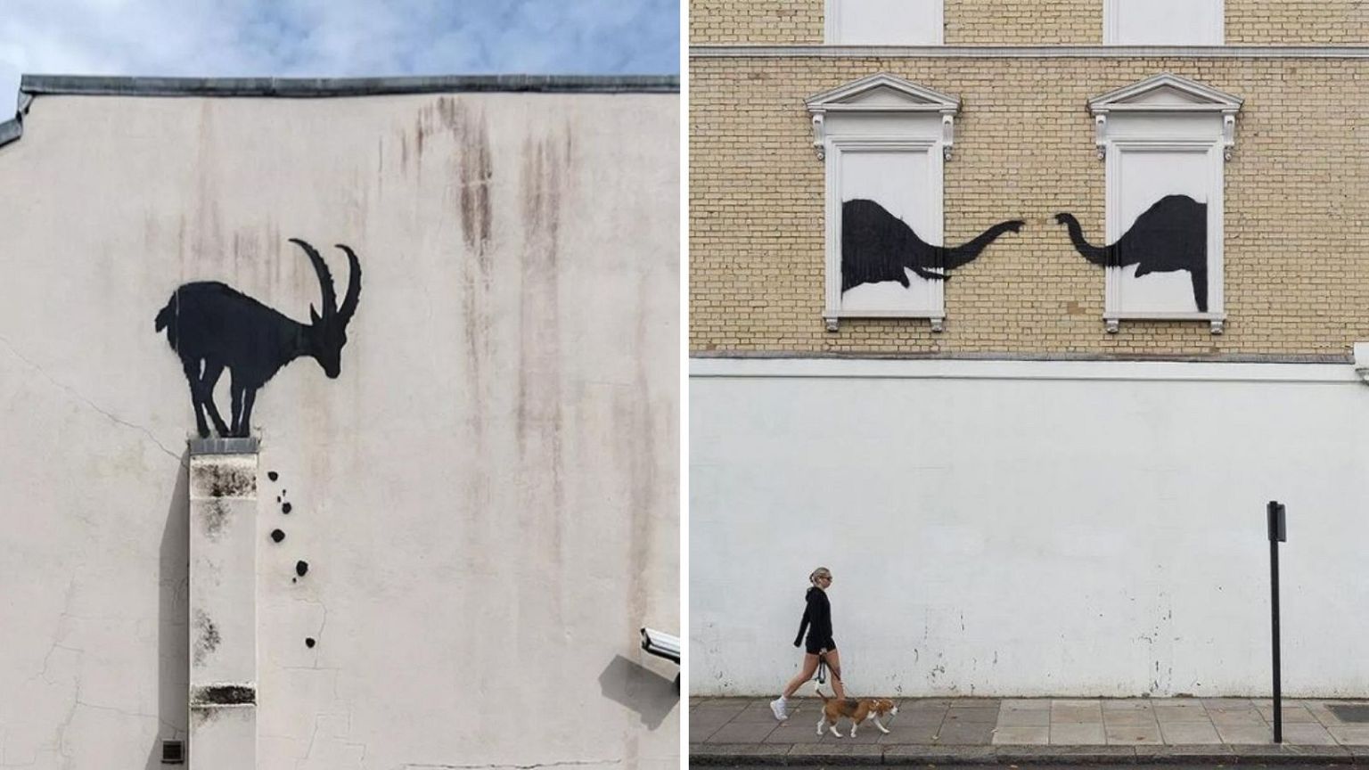 The GOAT? Banksy unveils two new animal artworks in London – but what do they mean? | Euronews