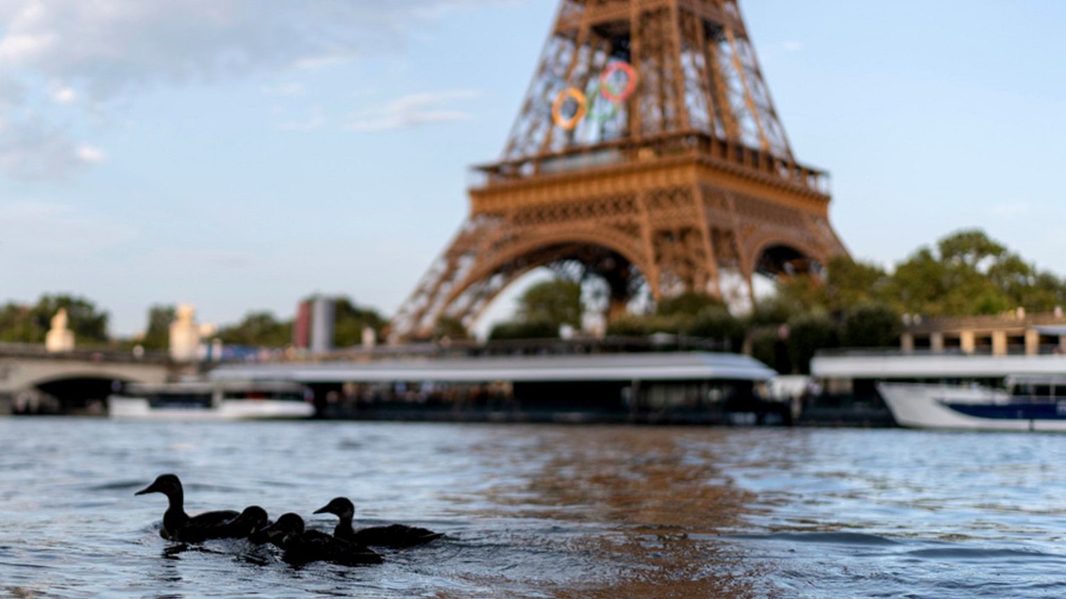 Not safe to swim: Paris Olympics event cancelled over Seine water ...