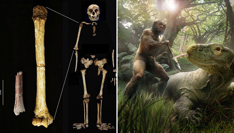 700,000-year-old bone discovery confirms existence of three-foot-tall ...