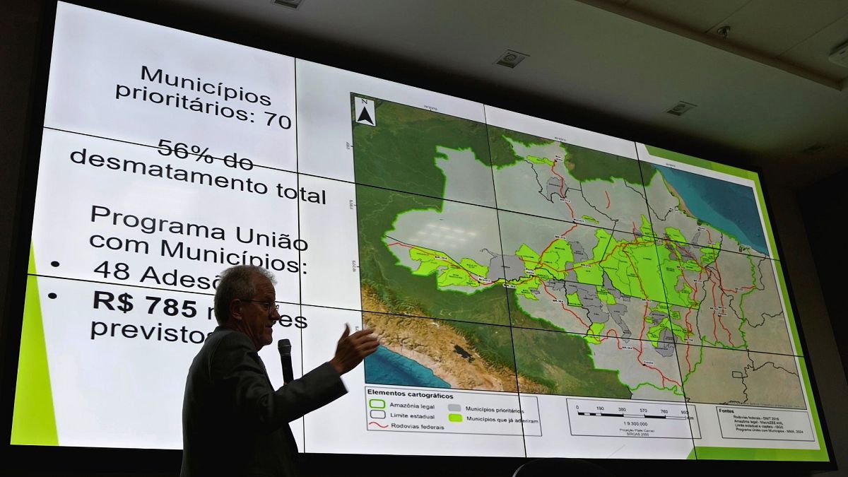 Deforestation in Brazil's Amazon is down by almost half since 2023 ...
