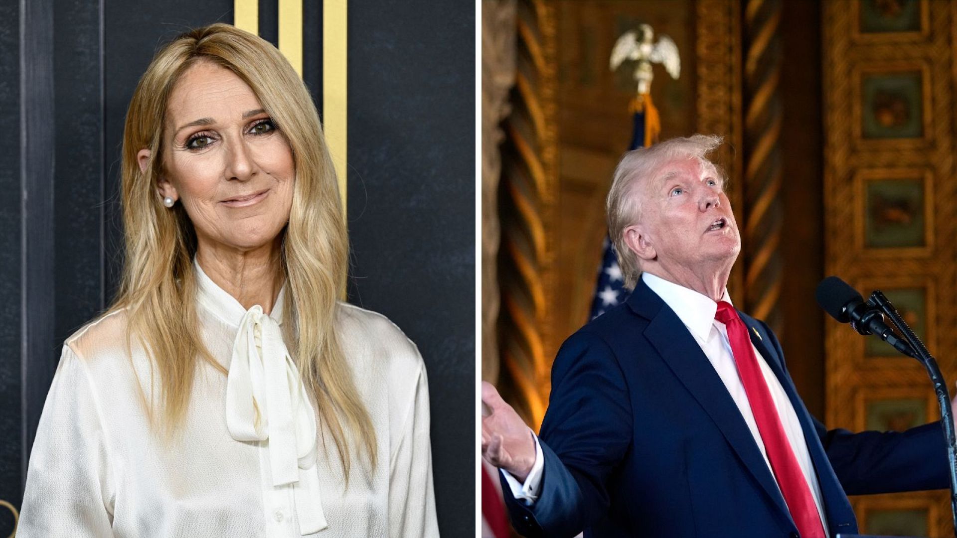 Céline Dion slams Donald Trump for 'in no way authorised' use of ...