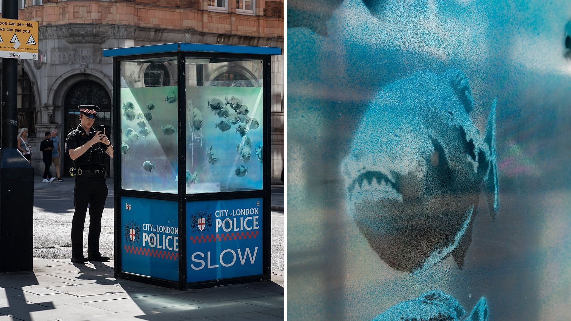 Banksy's London zoo recap: Seven artworks by the elusive street artist ...