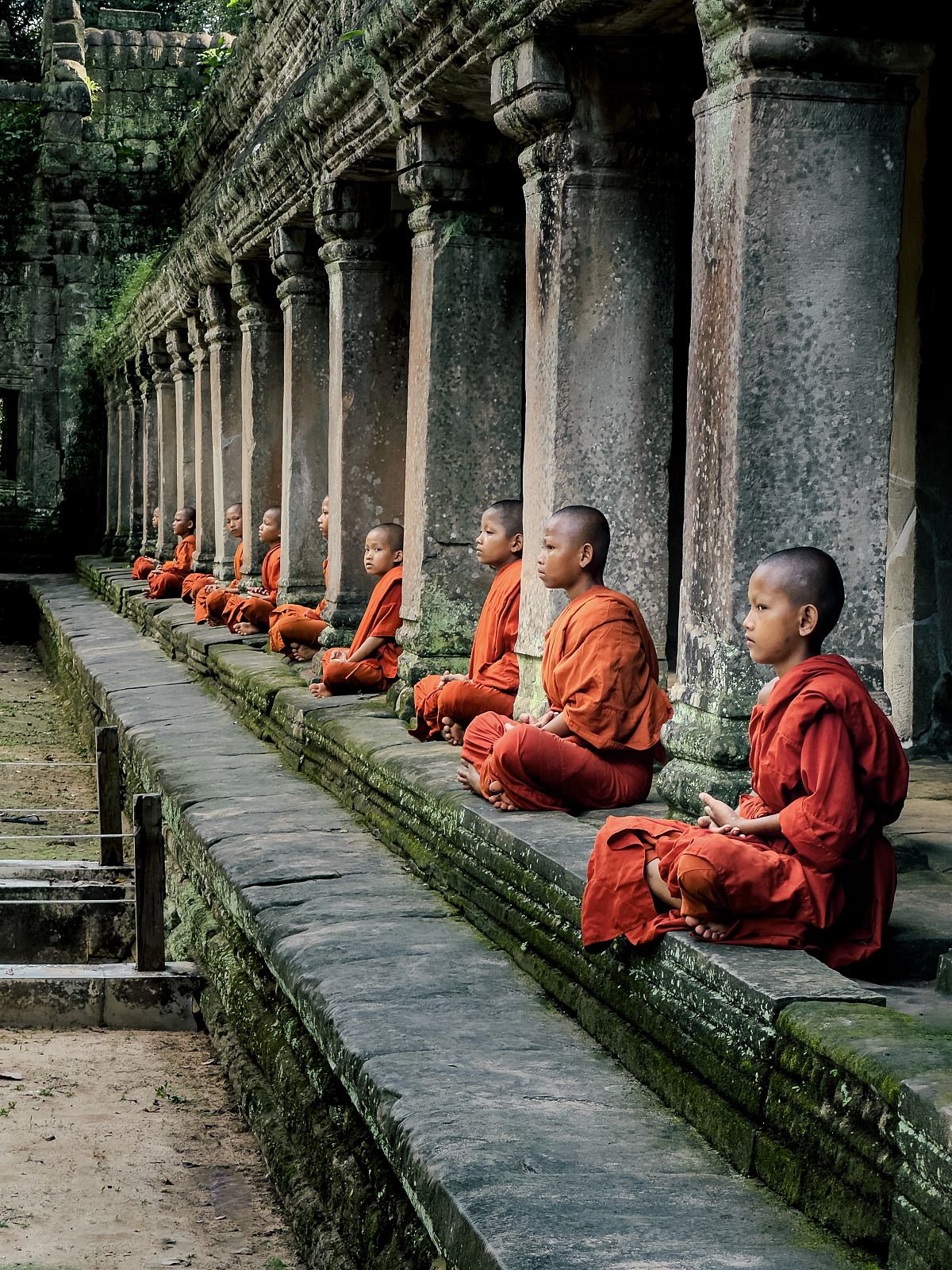 Oompa loompas, leopards and Buddhist monks: The best of the iPhone ...