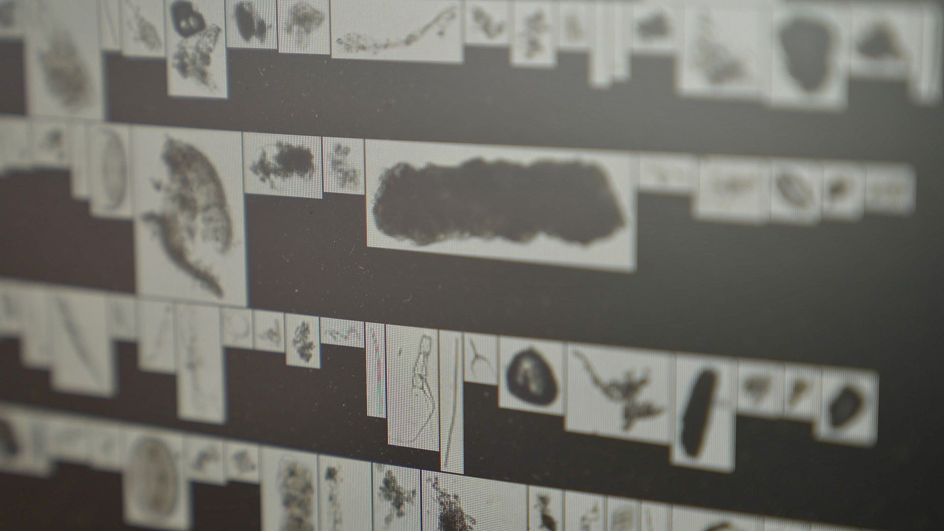 Digital Twin of the Ocean: Europe’s game-changer for sustainable seas ...