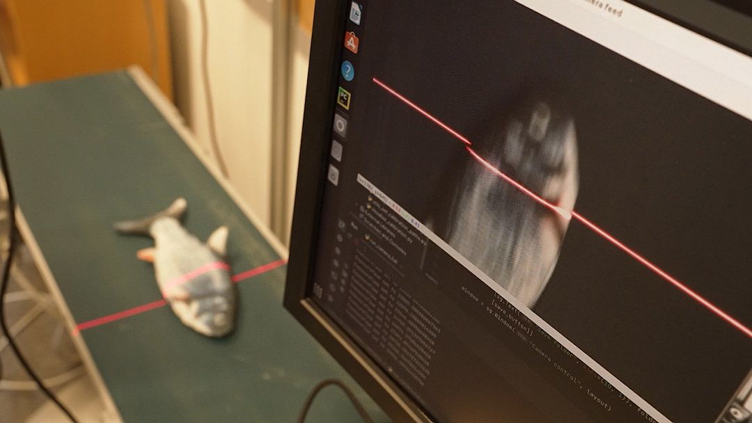 Fish and microchips: how AI can help Europe's fishers and protect the ...