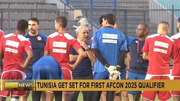 Sport - Latest sport news from Africa, football, boxing, running, rugby ...