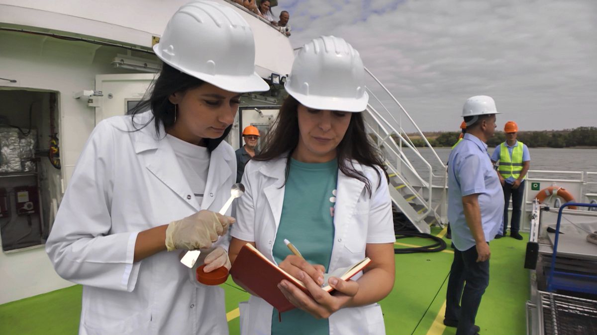 Rexdan: the international research project sailing smoothly through ...