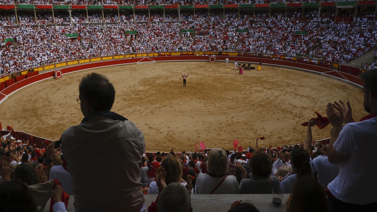 Spain ends National Bullfighting Award amid cultural changes | Euronews