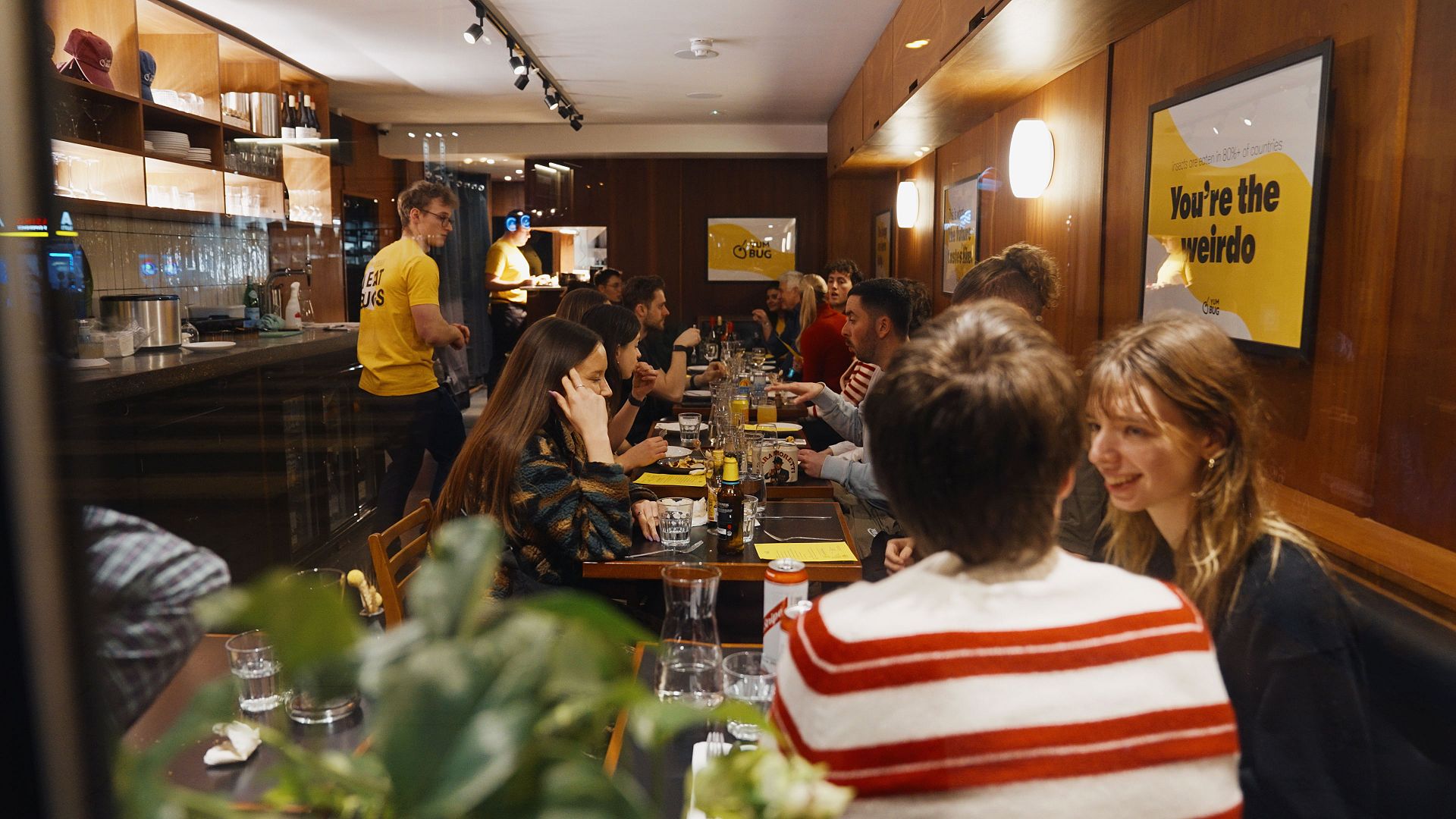 Doors open at London’s first fully insect-based restaurant | Euronews