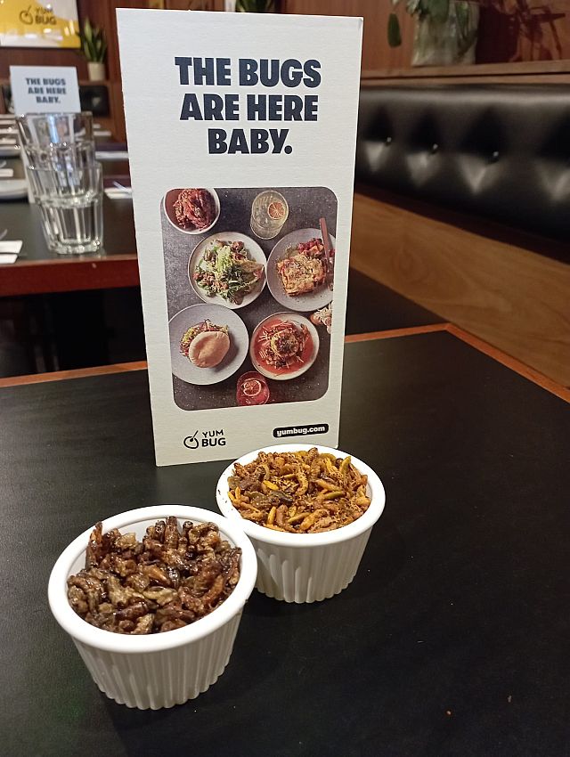 Doors open at London’s first fully insect-based restaurant | Euronews