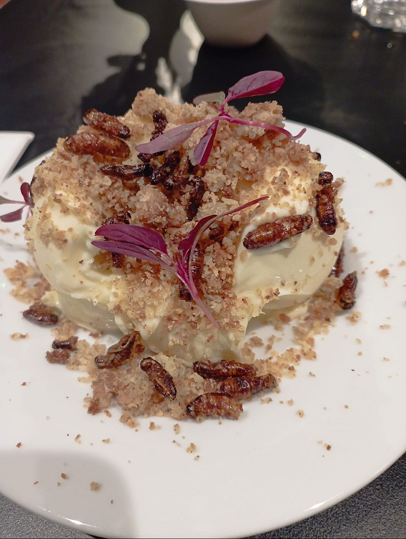 Doors open at London’s first fully insect-based restaurant | Euronews