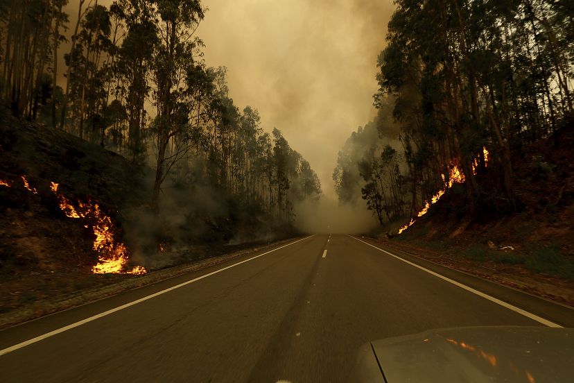 Portugal battles with fires: 62,000 hectares burned and seven lives ...